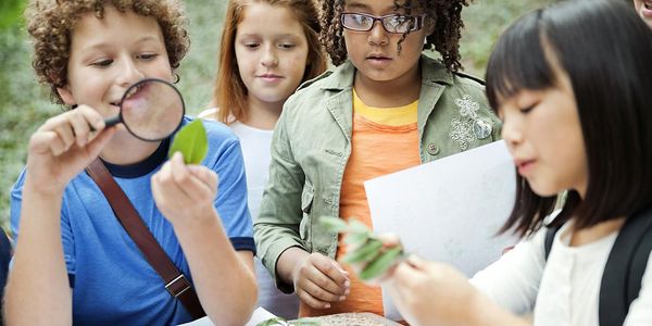 cambridge physics challenge