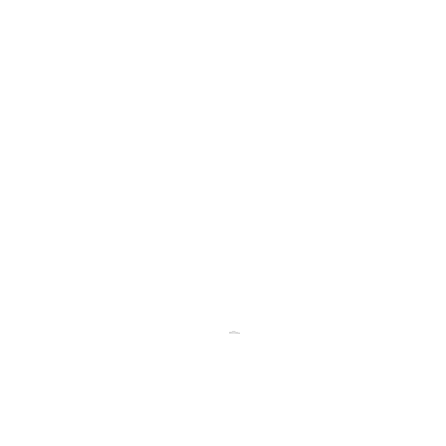 【US】2026 Georgetown University North American Invitational MUN NAIMUN ...